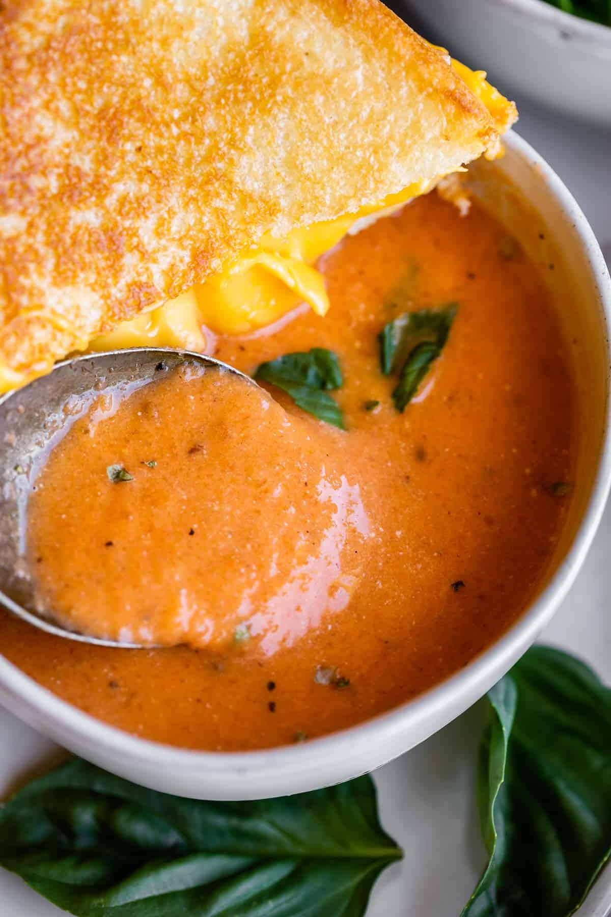 Creamy Homemade Tomato Soup Recipe - The Food Charlatan