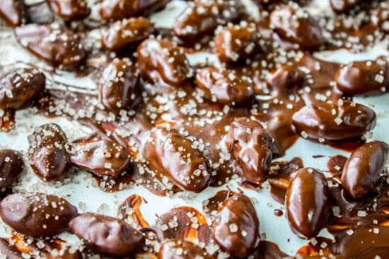 Mint Chocolate Covered Almonds - The Food Charlatan