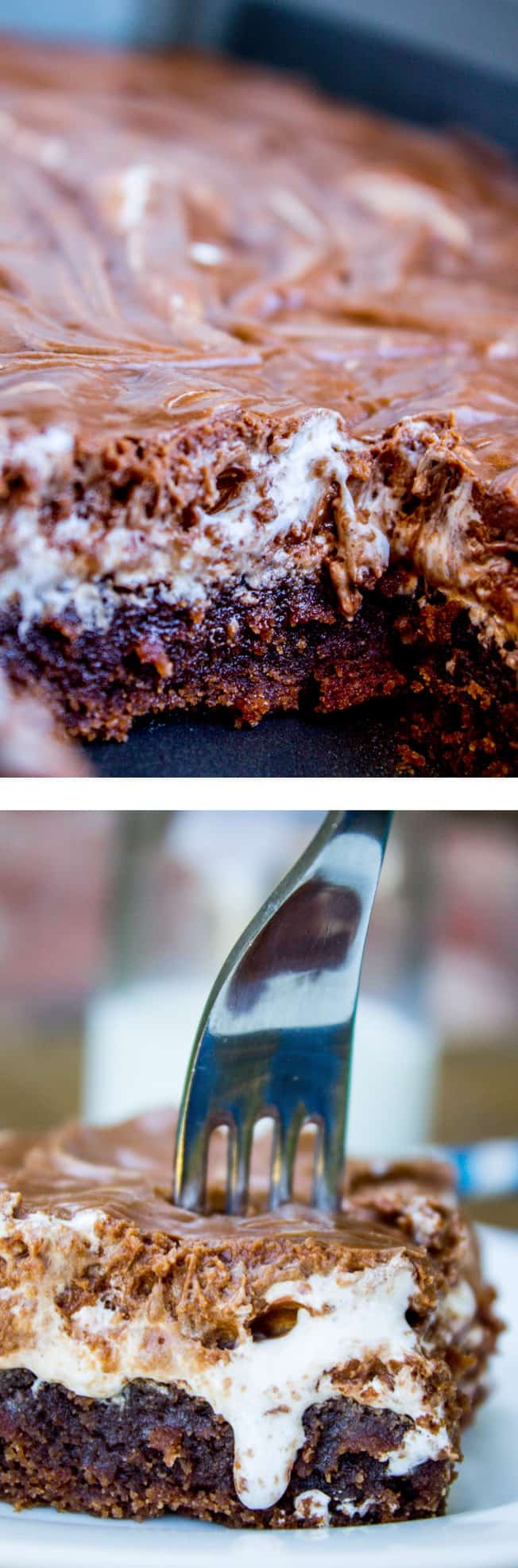 Easy Mississippi Mud Cake Recipe - The Food Charlatan