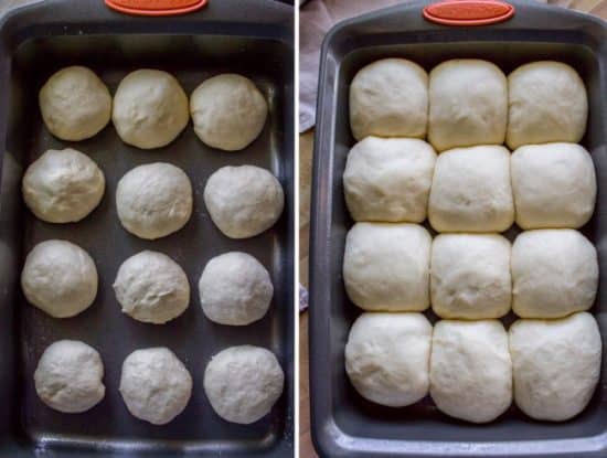 BEST Dinner Roll Recipe - The Food Charlatan