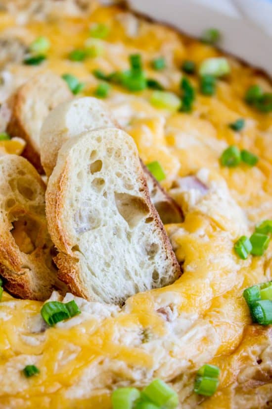 Ham and Cheese Dip - The Food Charlatan