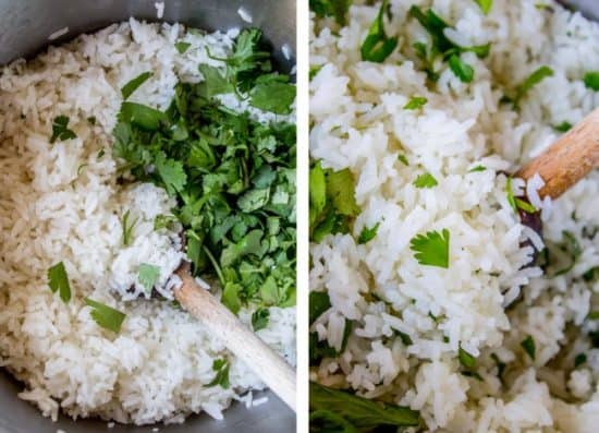 Coconut Jasmine Rice with Cilantro - The Food Charlatan