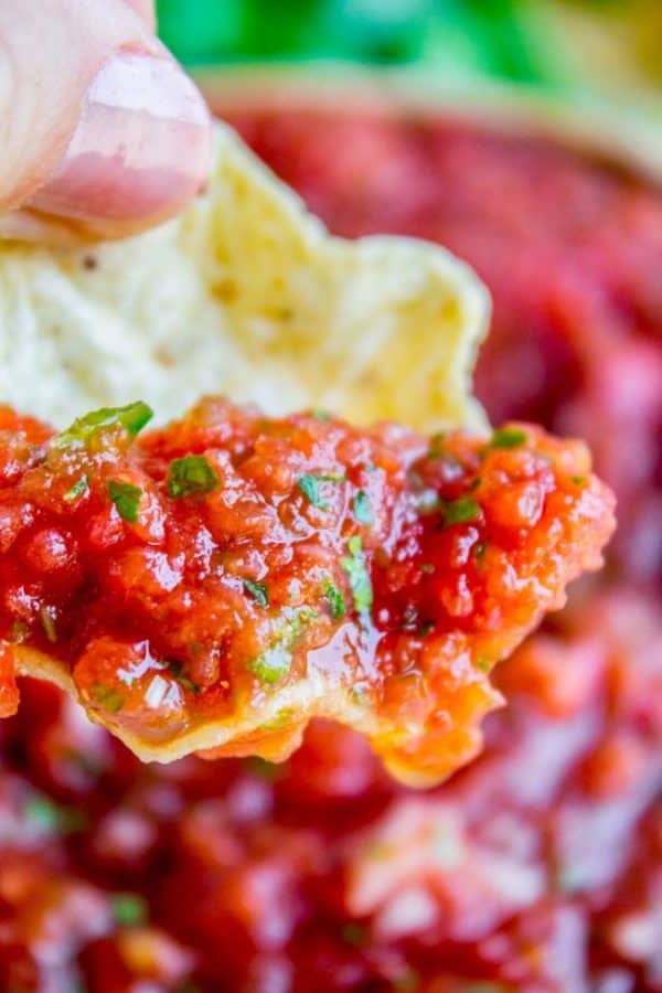 5 Minute Restaurant Style Salsa and How to Host Taco Tuesday - The Food ...