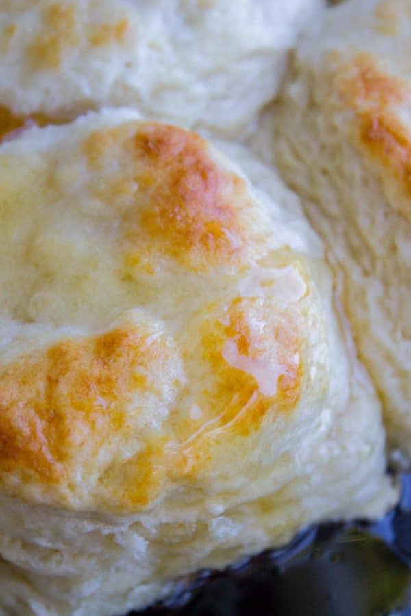 Homemade Flaky Biscuits Recipe - The Food Charlatan