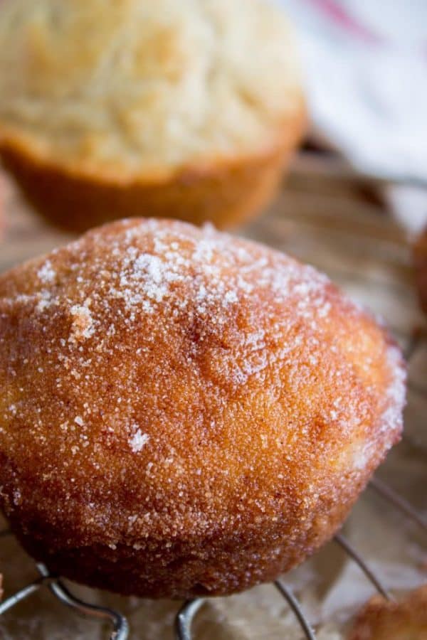 Cinnamon Sugar Dipped Muffins (French Breakfast Puffs) - The Food Charlatan