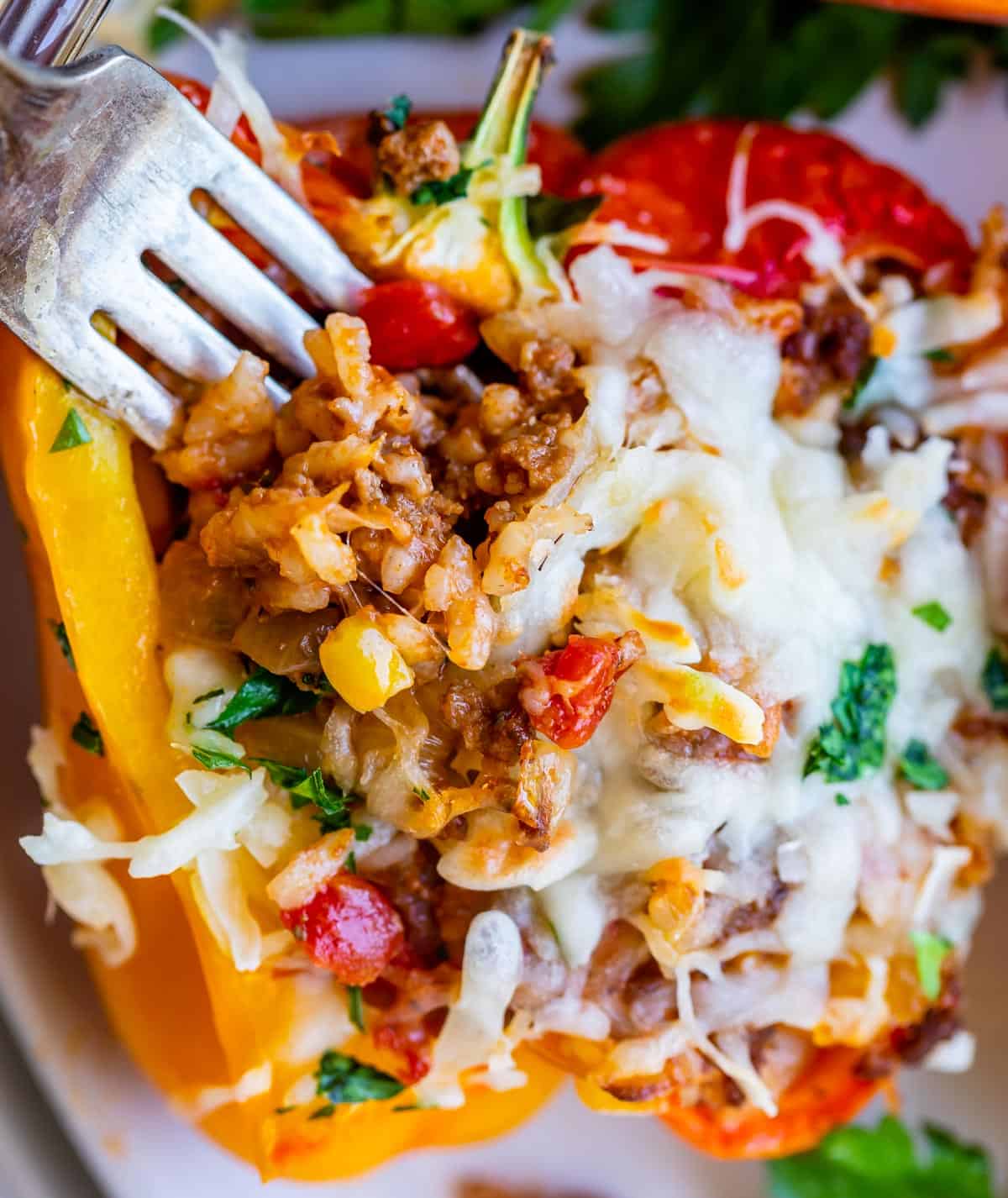 Stuffed Bell Pepper Recipe - The Food Charlatan