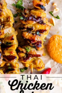Thai Chicken Satay Skewers with Peanut Sauce - The Food Charlatan