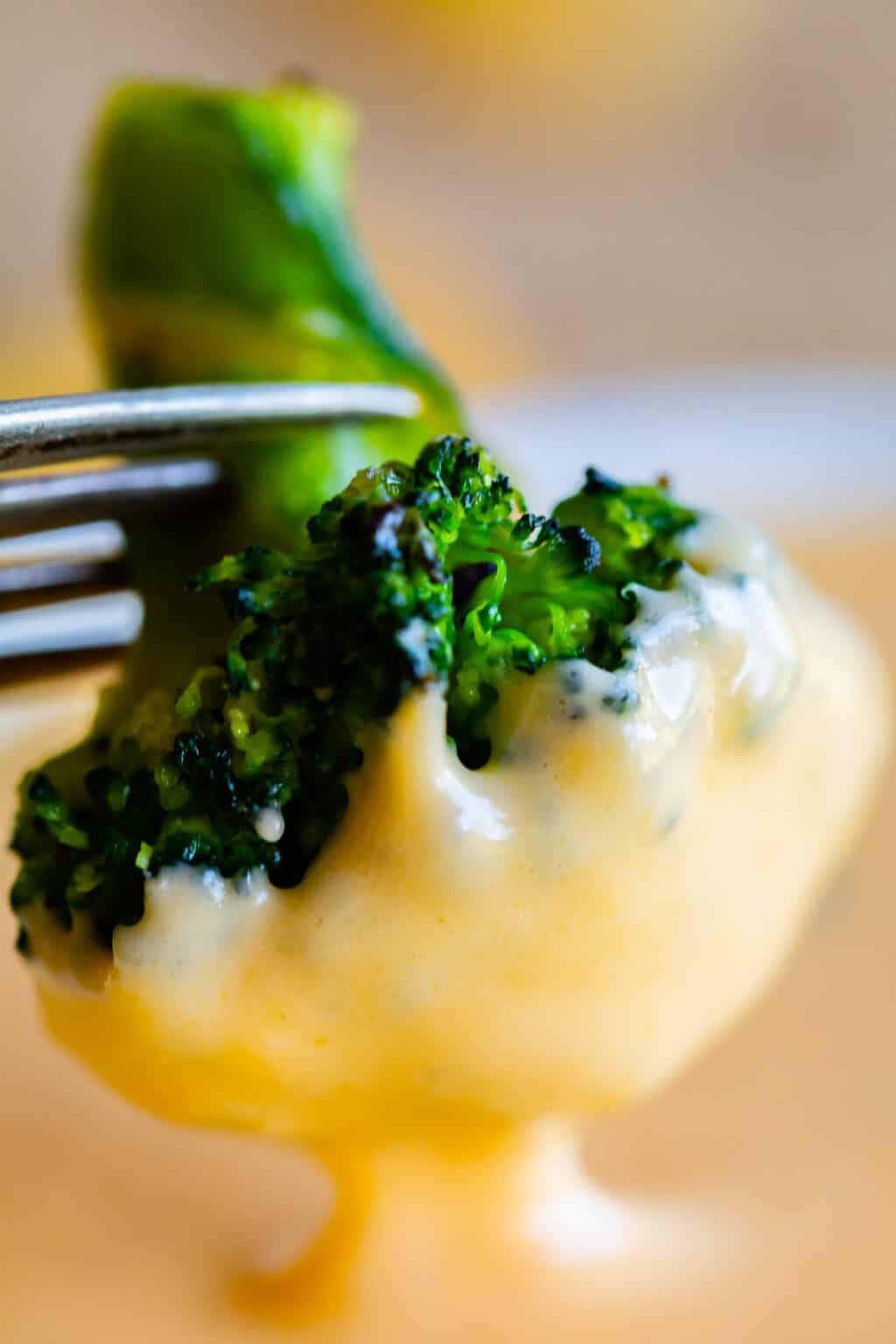 Homemade Cheese Sauce Recipe (Shake Shack Copycat) - The Food Charlatan