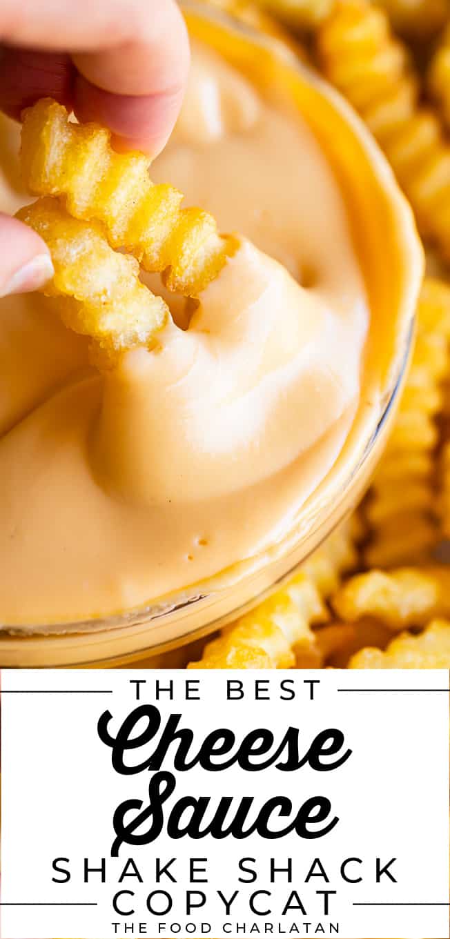 Homemade Cheese Sauce Recipe (Shake Shack Copycat) - The Food Charlatan