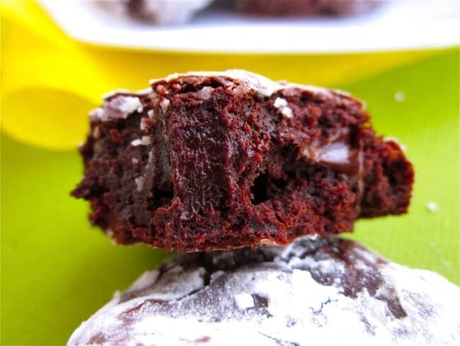 Deep Dark Chocolate Cookies {Gluten Free!} - The Food Charlatan