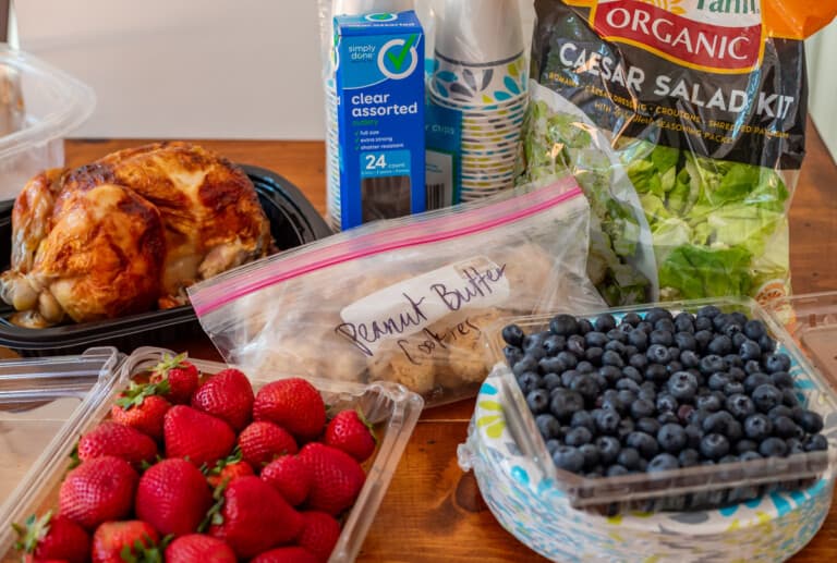 How to Bring a Meal to a Friend - The Food Charlatan