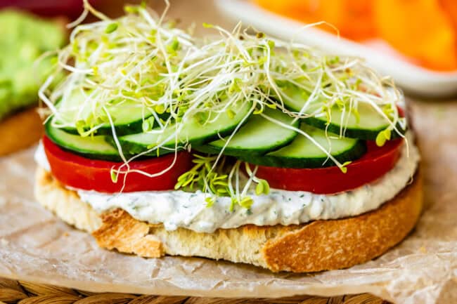 Laura's Fresh Veggie Sandwich - The Food Charlatan