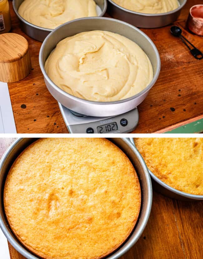 Cornbread Cake with Honey Frosting - The Food Charlatan