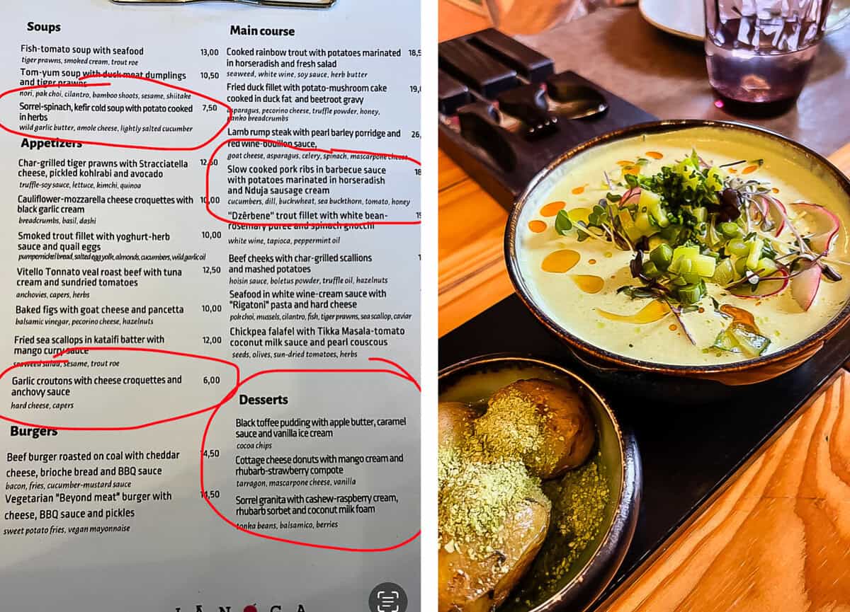 Why You Should Travel to the Baltics - The Food Charlatan