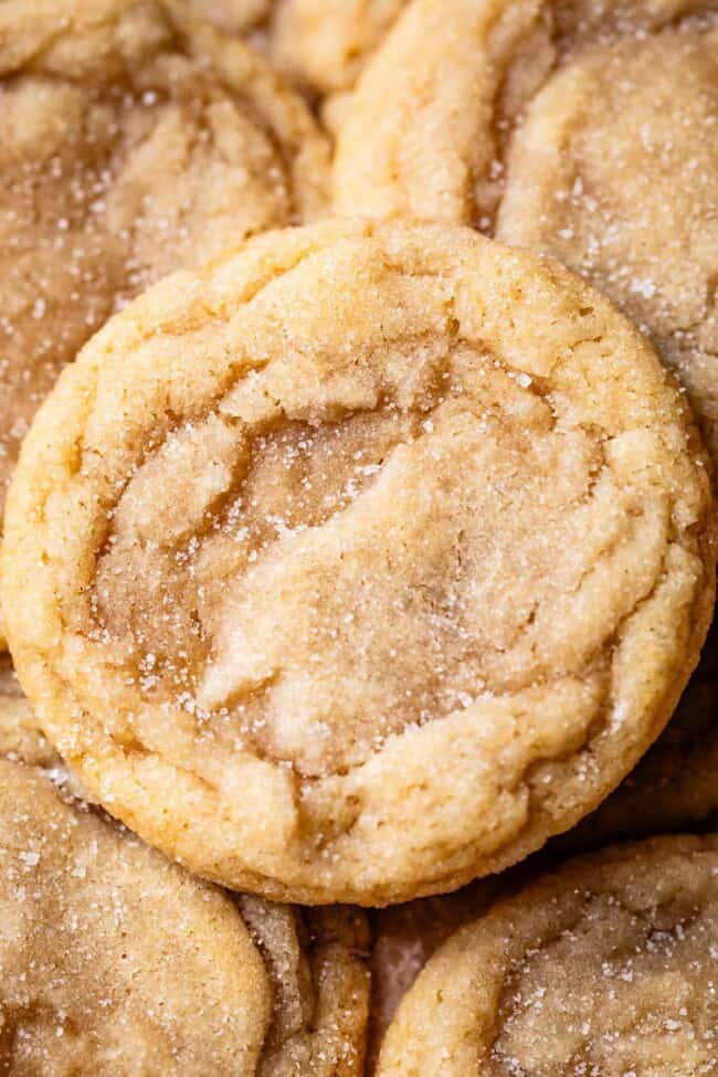 Mint Chocolate Chip Cookies - The Food Charlatan