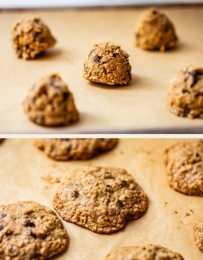 The Only Oatmeal Chocolate Chip Cookie Recipe You'll Ever Need - The ...